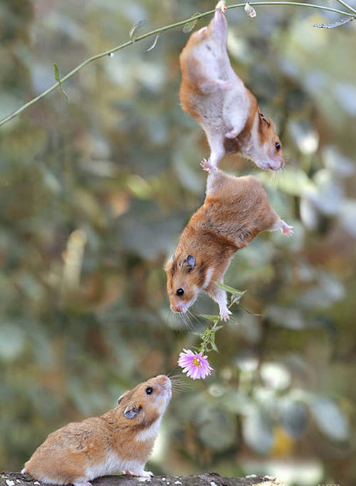 Photo Friday: The Best Wingman Ever – Stephen Einhorn